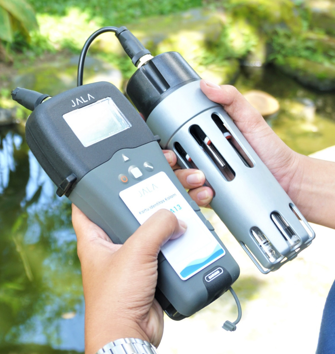 Collaborations and challenges: Why Hatch is positive on aquaculture in ...