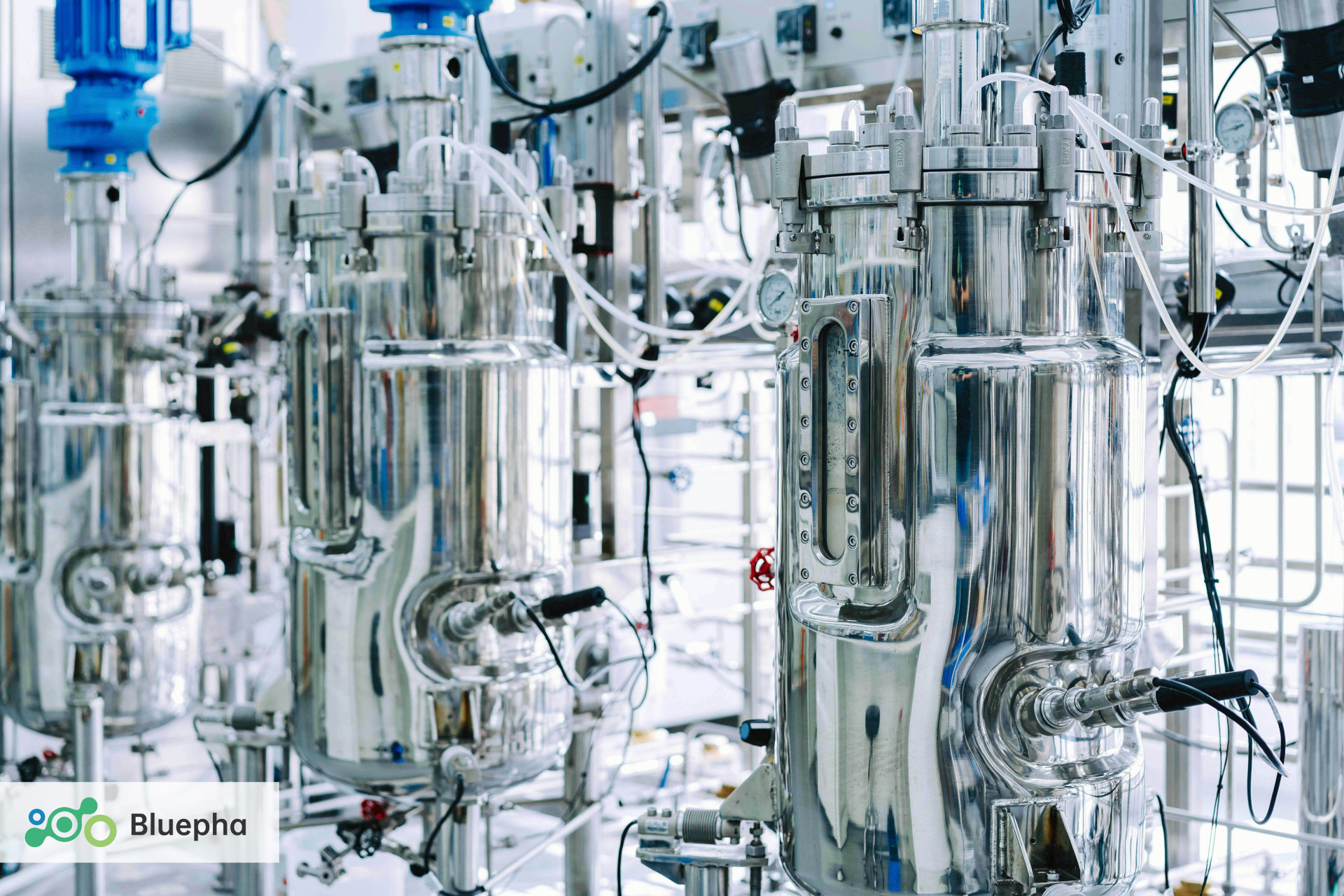 Bluepha to boost PHA bioplastics production with $30m fresh funding ...