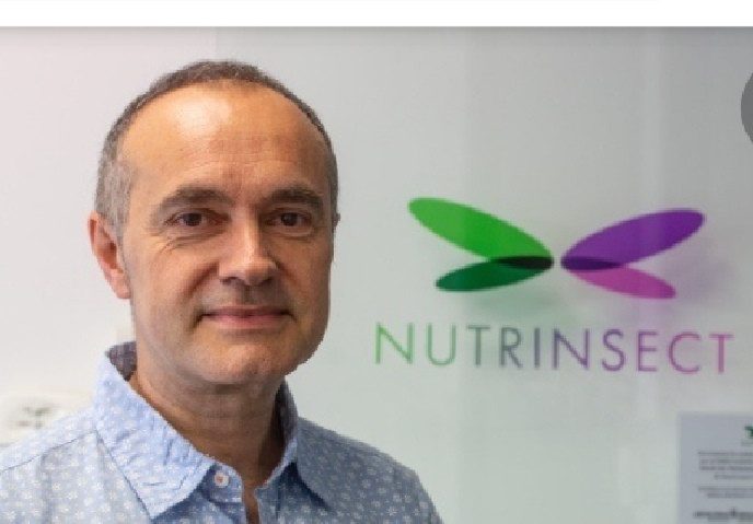 Nutrinsect: Aiming at insects for human consumption for the planet's ...