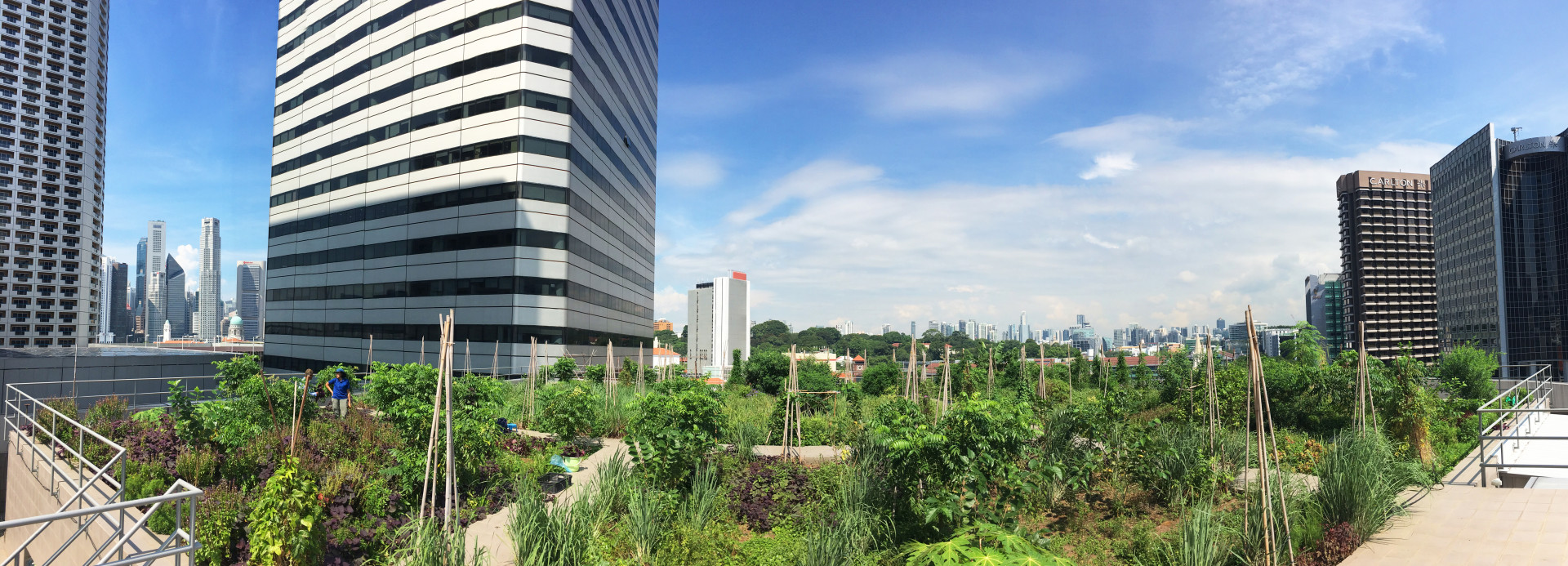 Turning Singapore into an Edible Garden City | CompassList