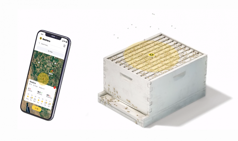 BeeHero: Agritech for bee health and better crop pollination | CompassList